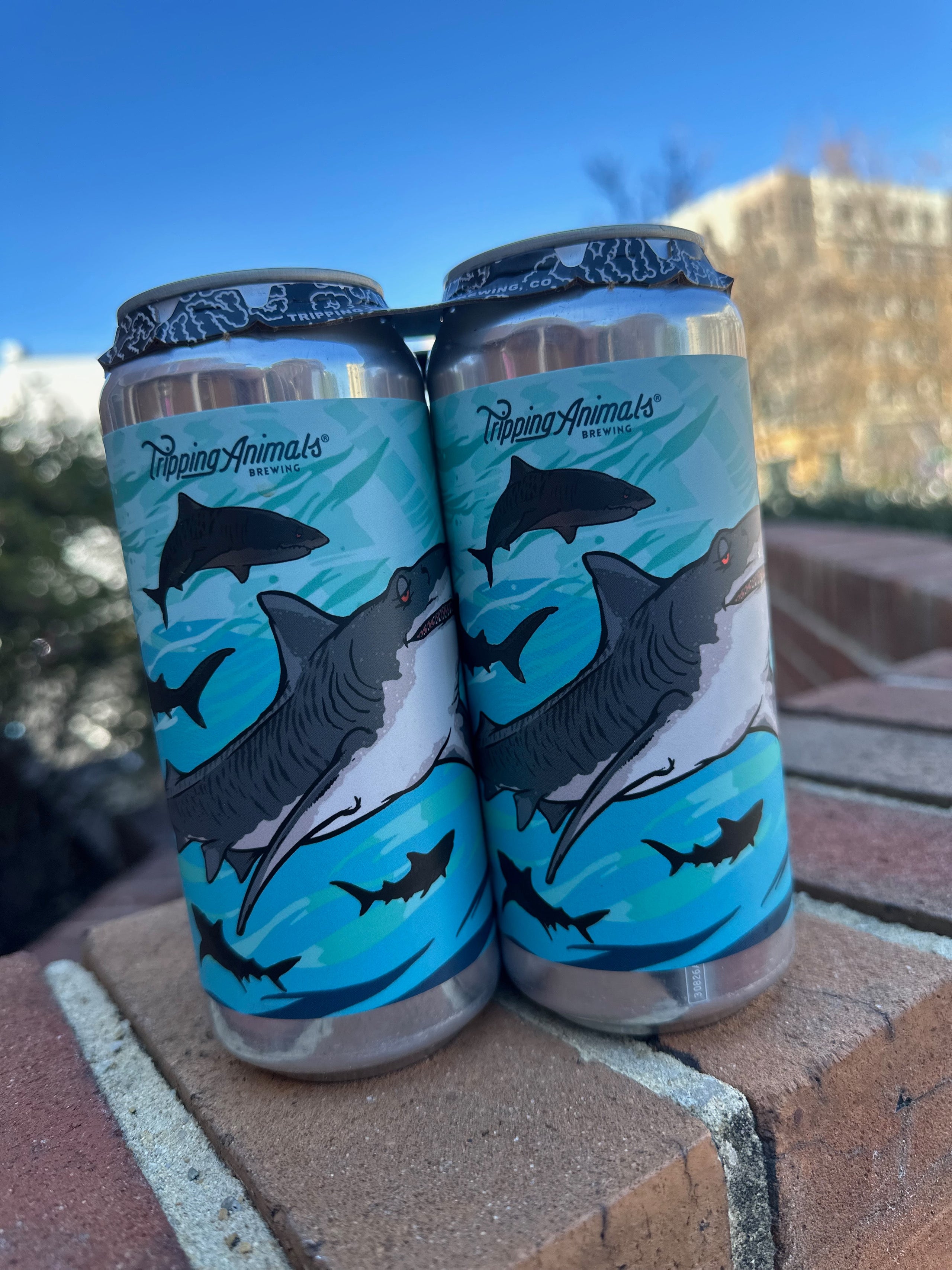 Tripping Animals x Vitamin Sea Men in Grey Suits 4-Pack | Dominion Wine ...